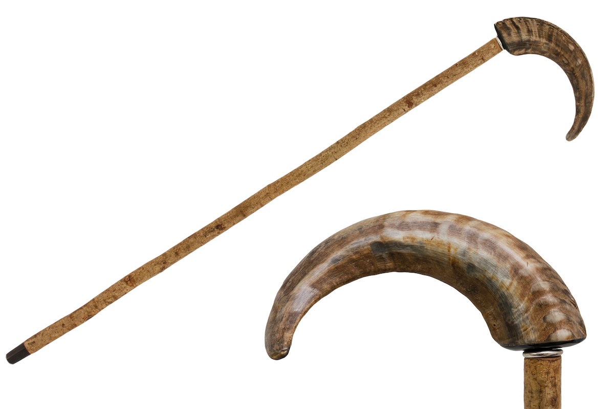 Pasotti Mouflon Horn Cane with Hazel Shaft and Horn End - Gentlemenlike ...
