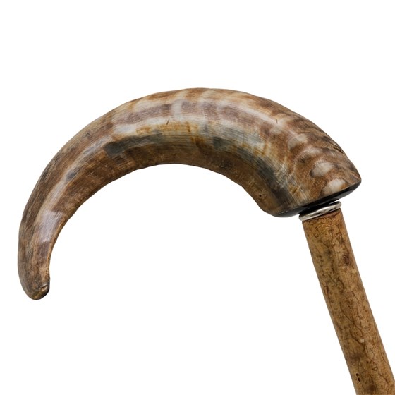 Pasotti Mouflon Horn Cane with Hazel Shaft and Horn End - Gentlemenlike ...