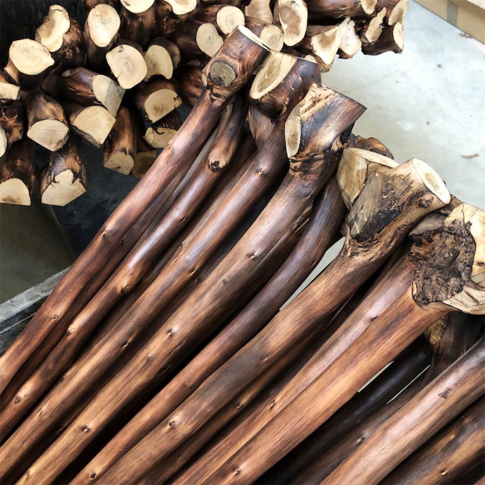 ba CR - Chestnut Stick with Root